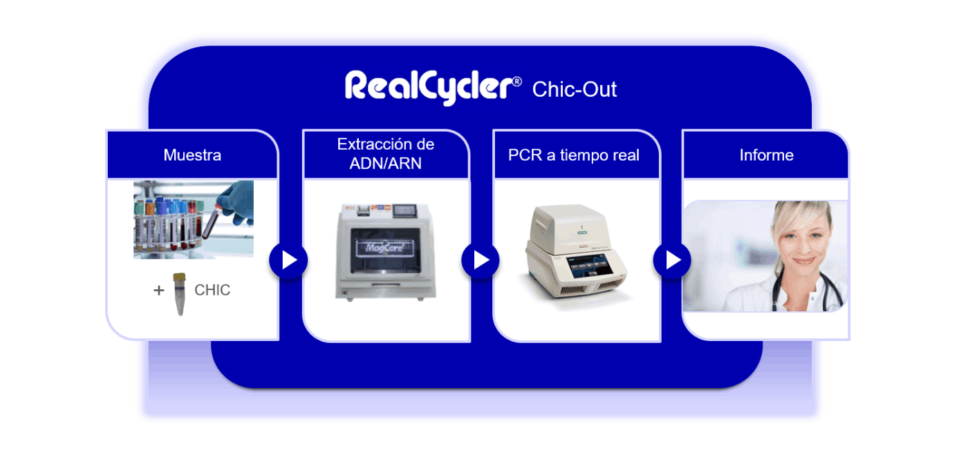 RealCycler Products Formats